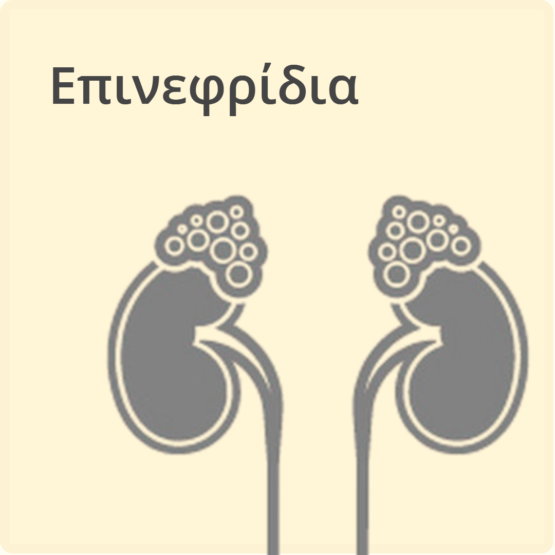 Ενδοκρινείς Αδένες - ΑΥΛΩΝΙΤΗΣ ΣΠΥΡΟΣ